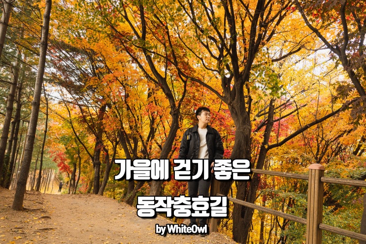 가을에 걷기 좋은 동작충효길 현충원길과 고구동산길 네이버 블로그