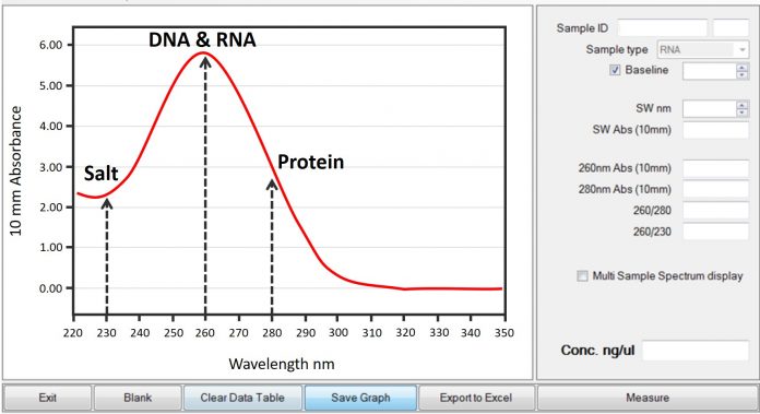 [생명과학] 나노드롭 (NanoDrop) 결과 해석하기 /분광광도법적 (DNA, RNA, Protein 정량 분석) : 네이버 블로그