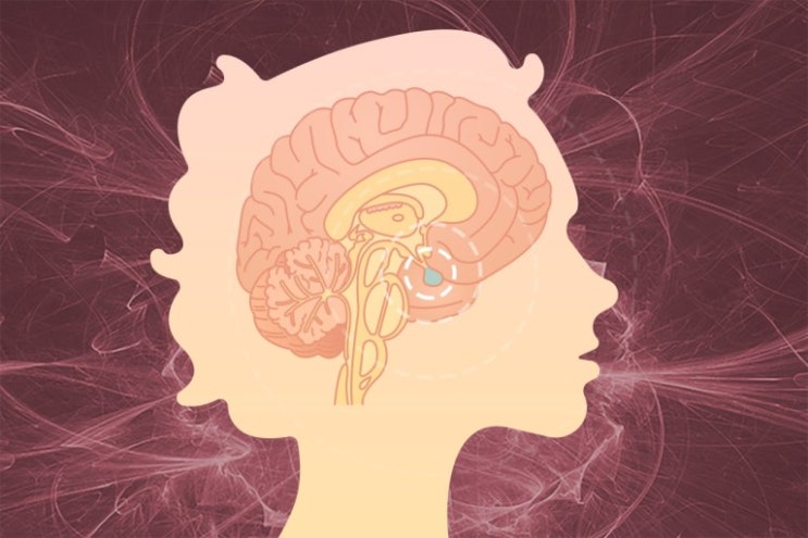 Low-dose ACTH test(synacthen test, 시낙텐 검사) : 네이버 블로그