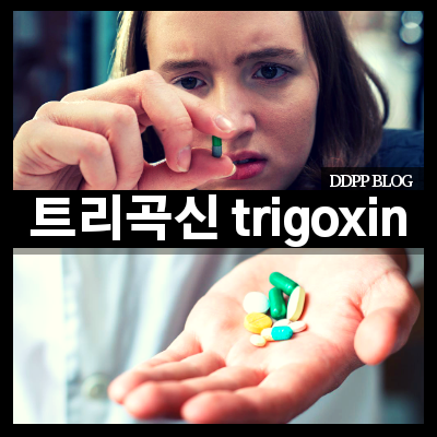 트리곡신(trigoxin) 이라는 약에 대해서 : 네이버 블로그