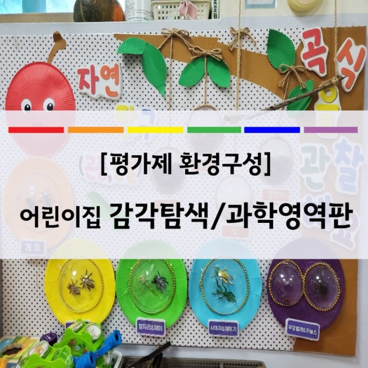 김슨생표 자연탐구 유치원 어린이집 평가제 감각탐색 교구과학영역 환경구성 및 관찰영역판 만들기 곡식관찰과 곤충 관찰해보아요