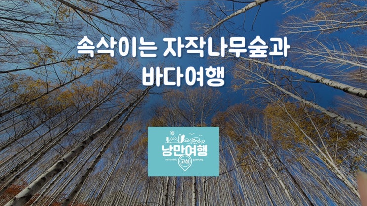 강원도 인제고성 당일 여행 속삭이는 자작나무숲과 바다여행 추천 낭만여행 당일여행 강원도 당일치기 네이버 블로그