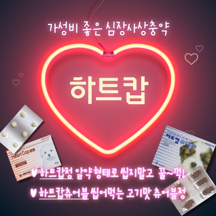 큐어벳 약이야기 하트캅 정and츄어블정 심장사상충약 하트가드 동일성분가성비 좋은 심장사상충약 네이버 블로그