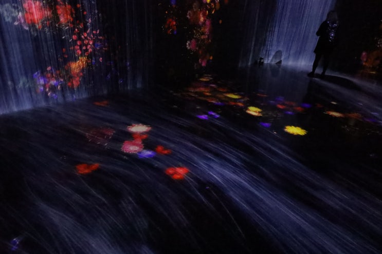 [동대문 디자인 플라자 (DDP) : 팀랩:라이프 (teamLab:LIFE)] 내 돈 주고 보기에는 아쉬움이 클 것 같은 전시회 ...