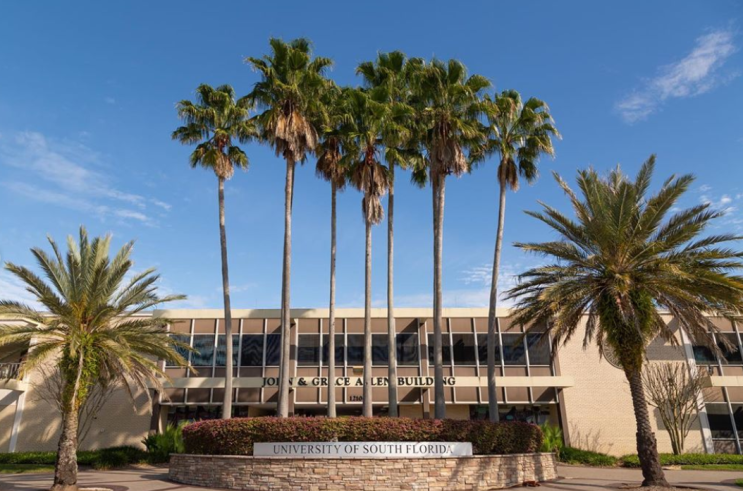 가성비 좋은 USF (University of South Florida)에 합격!! 그런데 장학금 소식은??? : 네이버 블로그