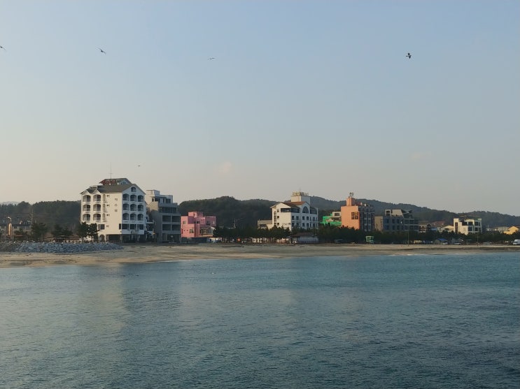 인구해변 앞 단독주택구옥입니다 인구해변 주택죽도해변 주택동산해변 주택양양 바닷가주택양양 해변주택양양 전원주택