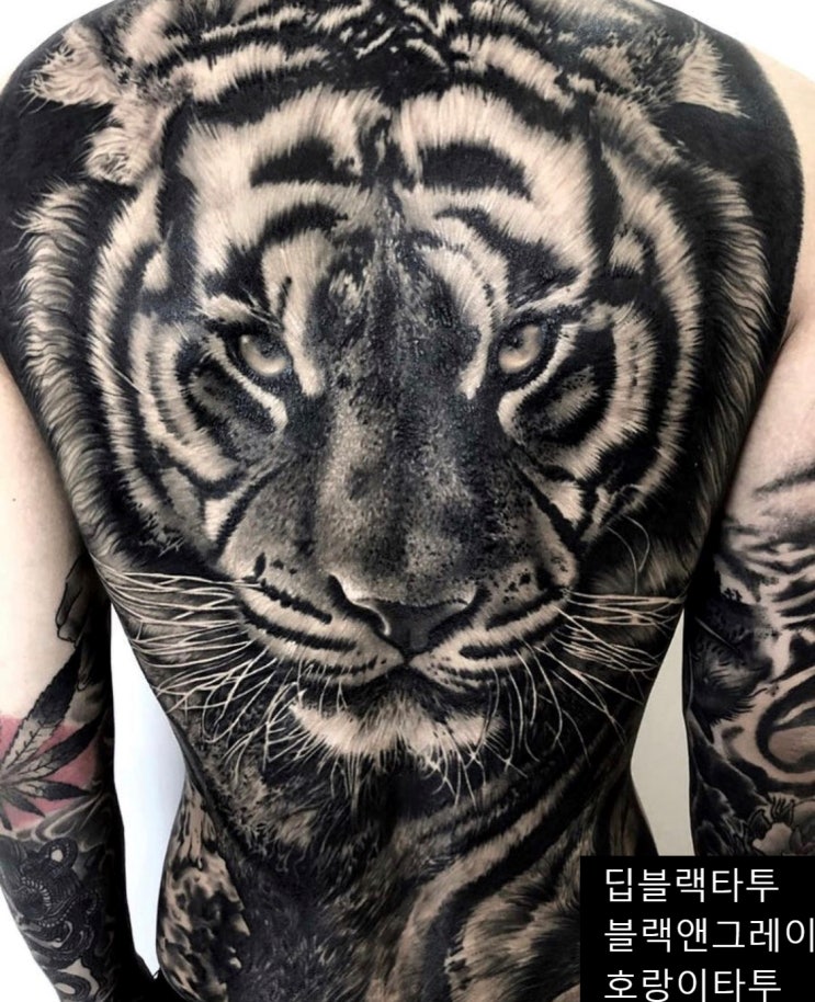 호랑이타투 잘하는곳 건대근처에 있다 네이버 블로그