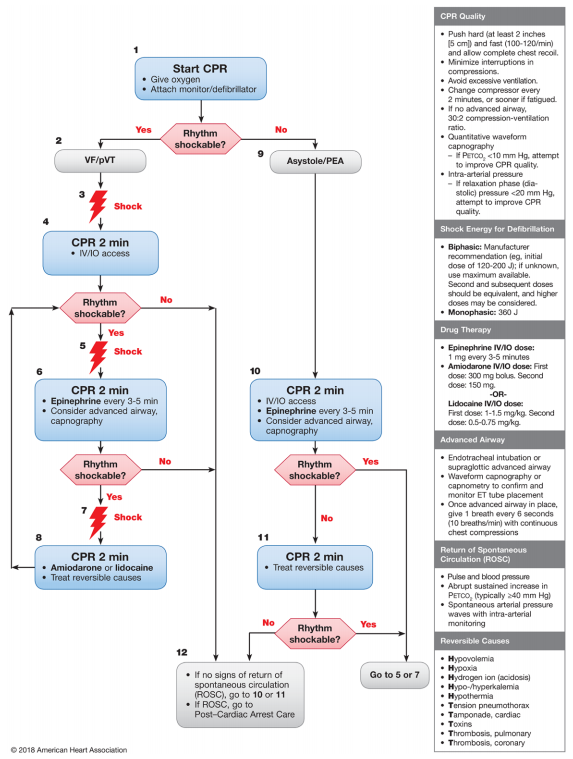 [ACLS(Advanced Cardiovascular Life Support)7-7]Cardiac Arrest Algorithm ...
