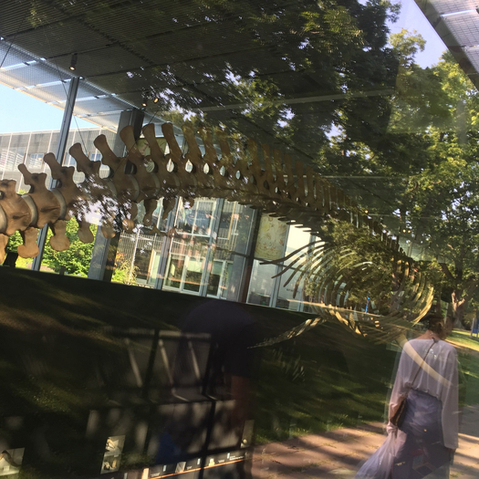 # UBC (University of British Columbia) : 네이버 블로그