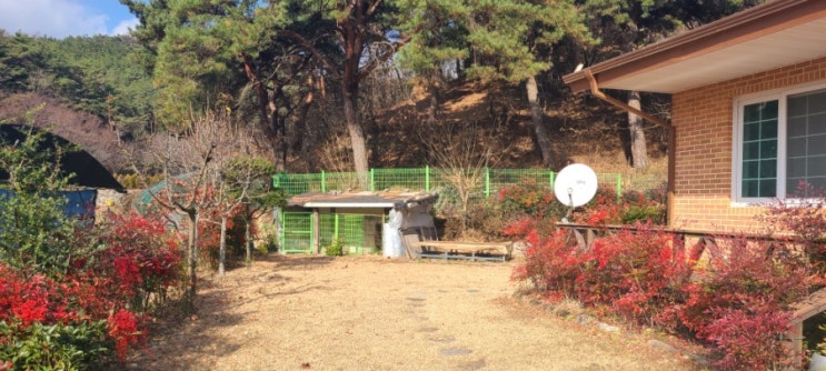 1668대구백안동전원주택매매-동구백안동전원주택매매 : 네이버 블로그