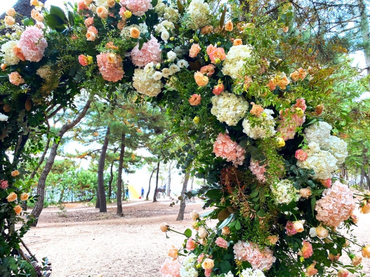 전주 꽃집 결혼식 꽃장식 Meglily floria design : 네이버 블로그