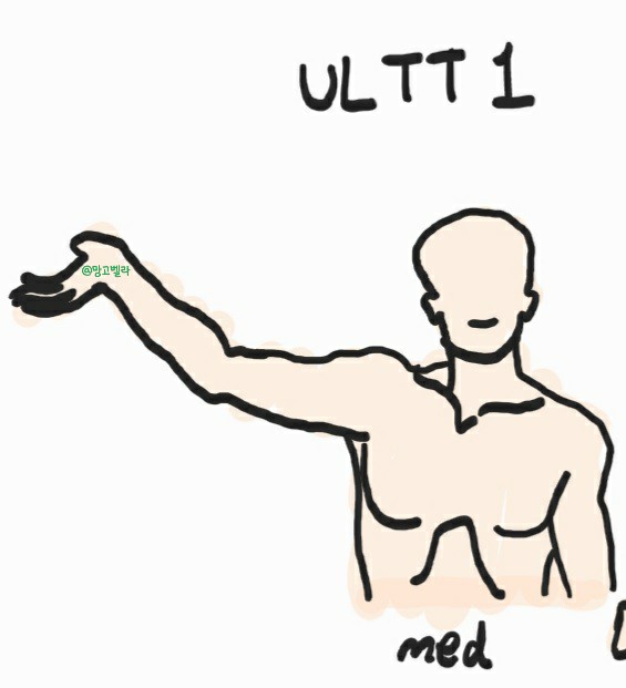 위팔긴장검사정리(ULTT or ULNT) : 네이버 블로그