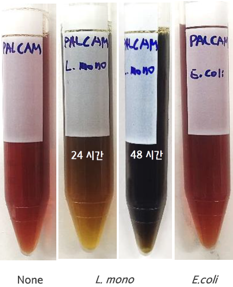 [식품공전] 리스테리아 모노사이토제네스 배지 원리 알고 실험하기(PALCAM Broth, Fraser Listeria Broth ...