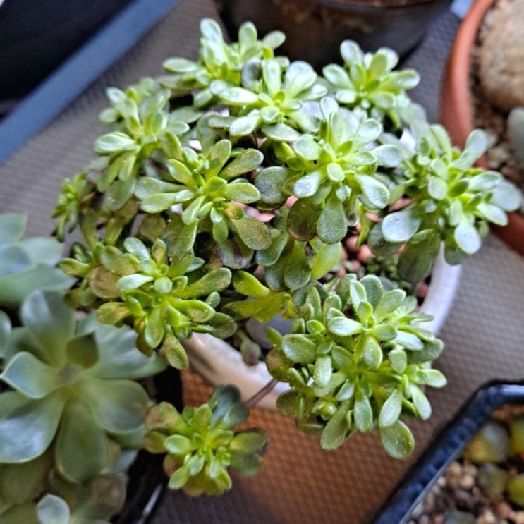 오늘 이쁜이들 : 네이버 블로그