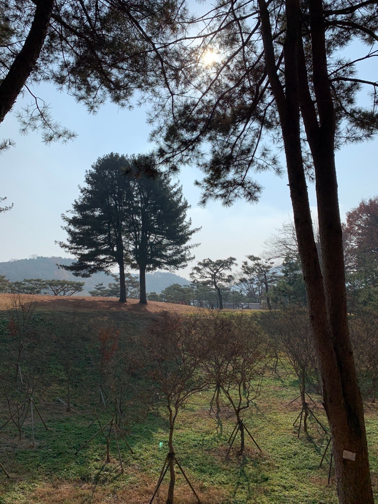 가족과 함께 당일치기 공주여행👑 네이버 블로그