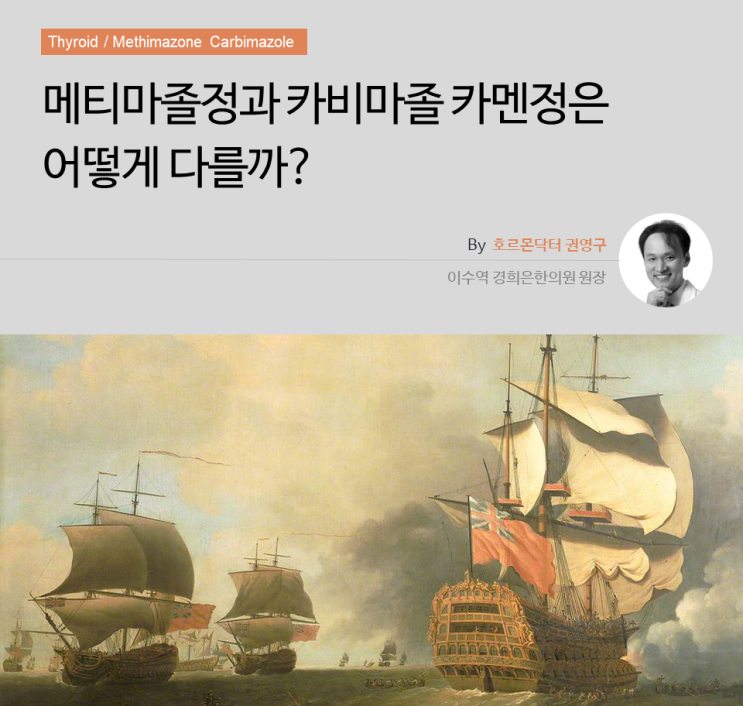 메티마졸정 Methimazole과 카비마졸 카멘정은 어떻게 다를까 네이버 블로그