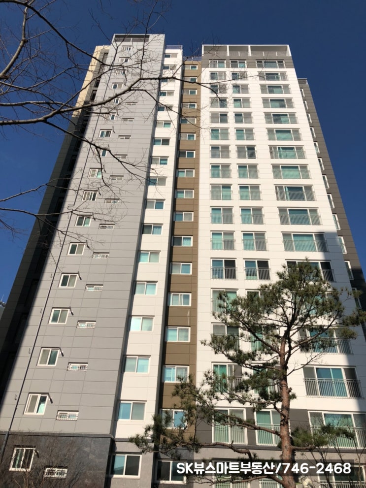 현장사진 빌리브 범어 아파트 둘러보기 수성구 부동산 Sk뷰 스마트 네이버 블로그