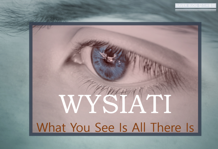 [북리뷰] WYSIATI (위시아티) : 네이버 블로그