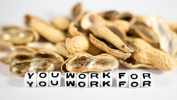 오늘의 영어표현(1333) They pay me peanuts : 네이버 블로그