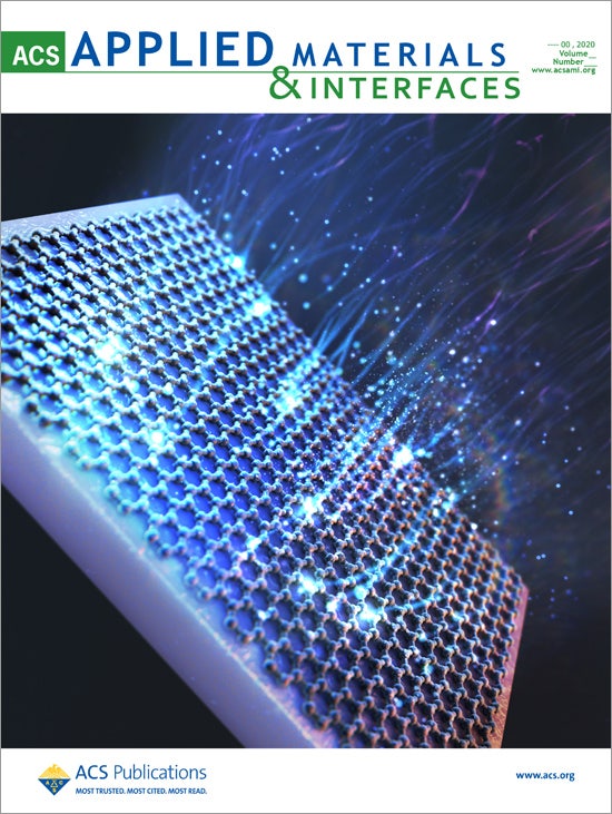 ACS Applied Materials & Interfaces/저널커버/논문그림/논문삽화/저널표지/논문커버제작/논문커버이미지 ...