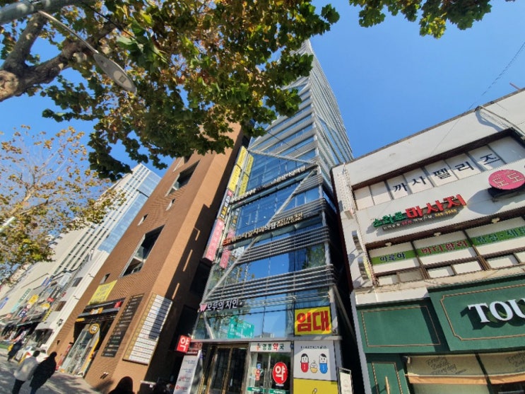 논현역 미사랑성형외과치과 대로변 전용25평 강남소형병원전문빌딩 으로 추천해요 네이버 블로그