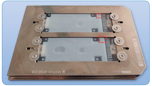 [Bruker MALDI TOF/TOF] Bruker rapifleX : MALDI를 이용한 이미징 분석의 쉽고 간단한 Work ...