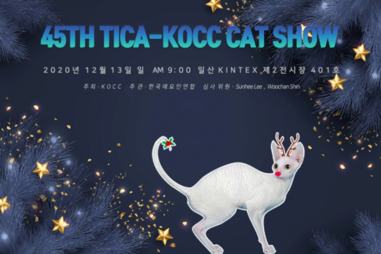[랙돌 캐터리 프시케돌/파이널돌] 45Th TICA KOCC CATSHOW : 네이버 블로그