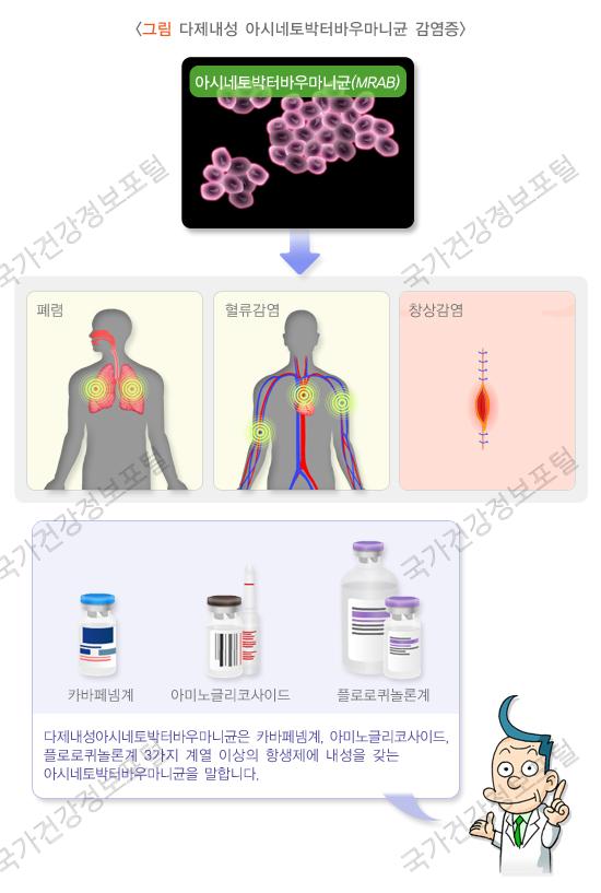 다제내성아시네토박터바우마니균(MRAB) 감염증 : 네이버 블로그