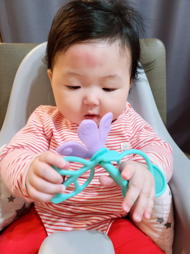 6개월 아기 스푼이유식기치발기 꼬꼬노리 선물셋트 And 츄츄블룸 손목 치발기로 이유식준비물 완료 네이버 블로그