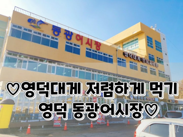 영덕대게축제 강구항 수산시장 동광어시장에서 가성비 영덕 대게 맛집처럼 즐기기 네이버 블로그