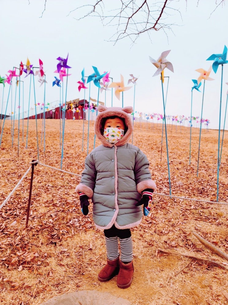파주임진각나들이 파주 임진각 평화누리공원 평화 곤돌라 임진강 평화 전망대 바람의 언덕 바람개비 작지만 알찬 파주 평화랜드