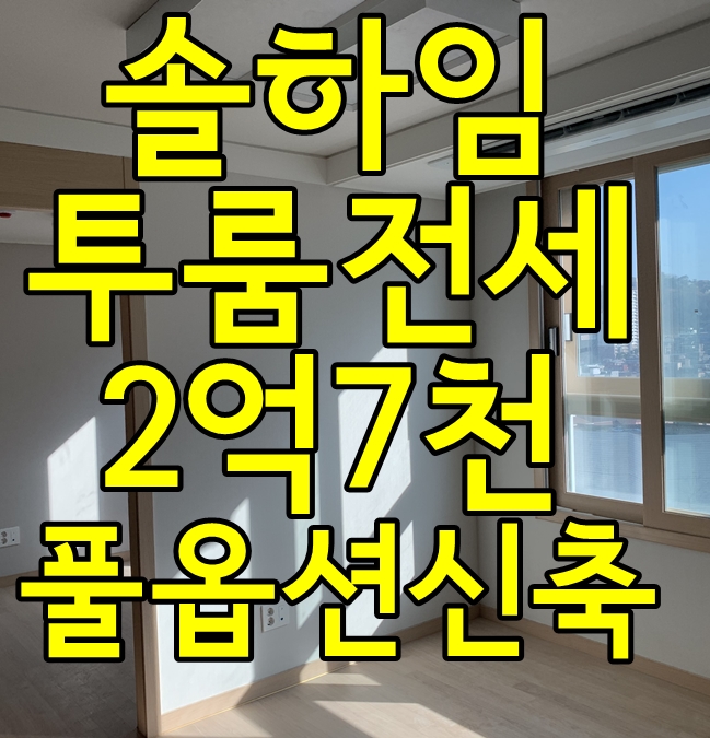오류동 솔하임 투룸 전세 2억 5천 - 실평수15평 제일 큰 E타입. : 네이버 블로그