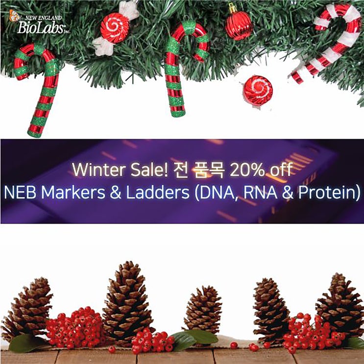 NEB Marker Ladder 알아보고 할인 받는 방법 알아보기 : 네이버 블로그