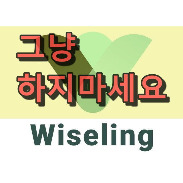 와이즐링 하지마세요 : 네이버 블로그