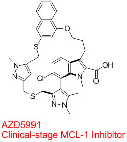 [MCL-1 Selective Inhibitors] AZD5991 (AZD-5991) [CT-A5991][CAS no ...