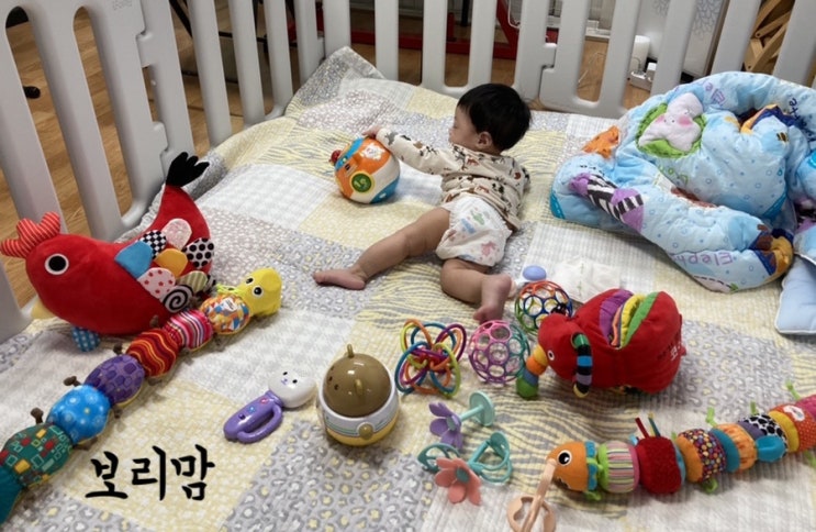 6개월 아기 장난감 추천 9종 브이텍 깜짝볼 꼬꼬노리 치발기 콤비 오뚝이 블루래빗 아기코끼리 코야 등 네이버 블로그