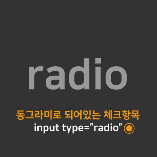 [Html/CSS] input type="radio" 동그라미 모양 버튼 : 네이버 블로그
