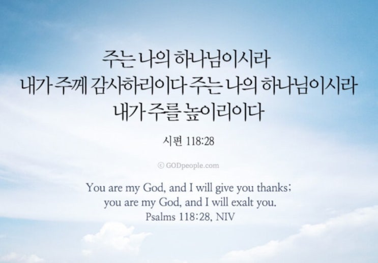♧시편 118편 28절 : 네이버 블로그