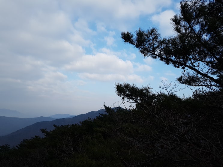 광교산 초보등산코스 ㅣ 형제봉코스 반딧불이화장실 형제봉 왕복 2시간 코스 네이버 블로그