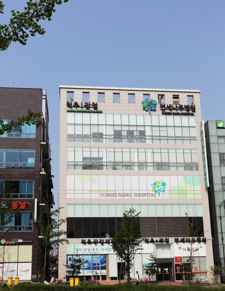 천안 신경외과 천안 정형외과 연세나무병원을 소개합니다 네이버 블로그