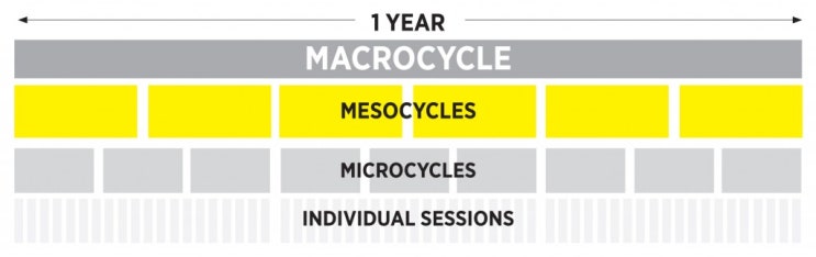 주기화(Periodization)의 세 싸이클에 대한 이해 : Macrocycles, Mesocycles, Microcycles ...