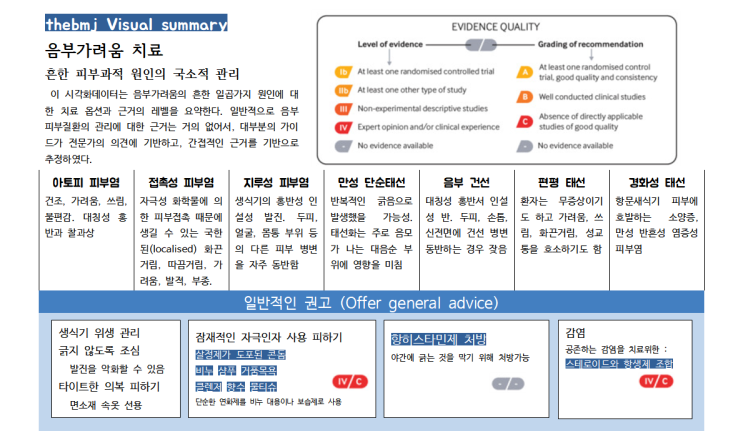 thebmj practice pointer 음부가려움(Vulvar itch) (2) : 네이버 블로그