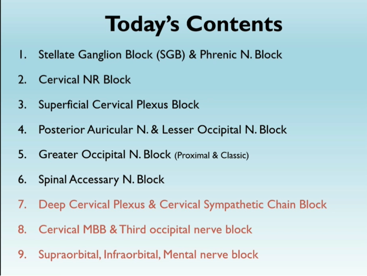 초음파를 이용한 다양한 만성 통증 치료 (4) - cervical medial branch block 외 안면 통증 치료 ...