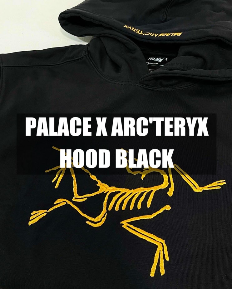팔라스 X 아크테릭스 후드 블랙 제품 리뷰 PALACE ARC'TERYX HOOD BLACK REVIEW : 네이버 블로그