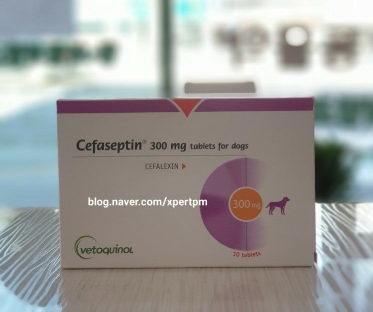 세파셉틴300mg Cefaseptin®300mg 세파계 강아지 항생제 동물약국 청주동물약국 늘봄동물약국 : 네이버 블로그