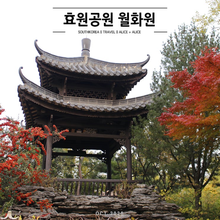 국내여행 보보경심려 촬영지 수원 효원공원 월화원♥ 네이버 블로그