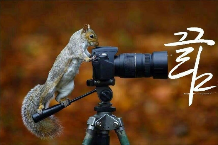 불치하문 (不恥下問) : 네이버 블로그