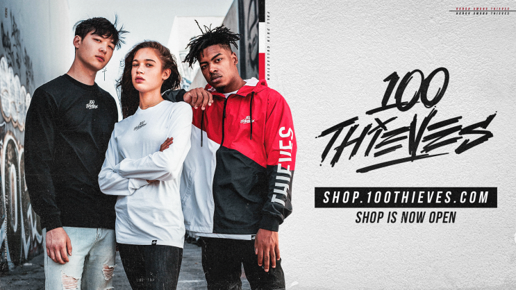 100 Thieves Brand Profile 요약 - 번역 : 네이버 블로그