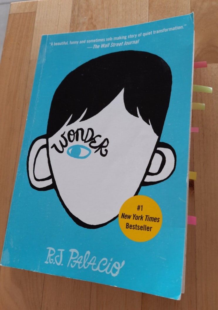 [2020-50] Wonder - R.J Palacio : 네이버 블로그