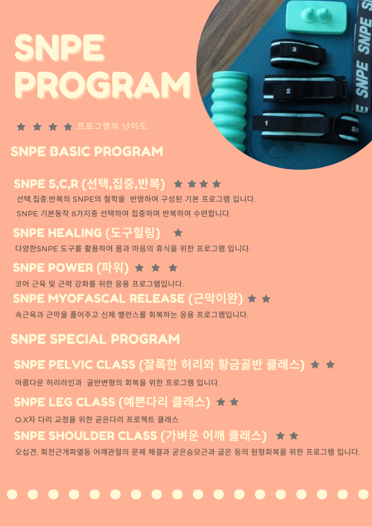 SNPE 프로그램 안내 : 네이버 블로그